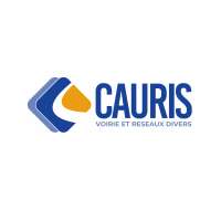 CAURIS (SAINT-THIBAULT-DES-VIGNES) Chiffre d'affaires, résultat, bilans ...